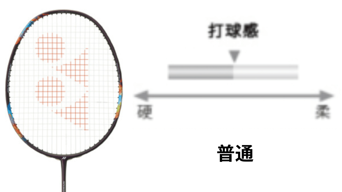 【ナノフレア700PRO】実打レビュー！正確なレシーブショットとコントロール型のラケット！ - TETSU BADO